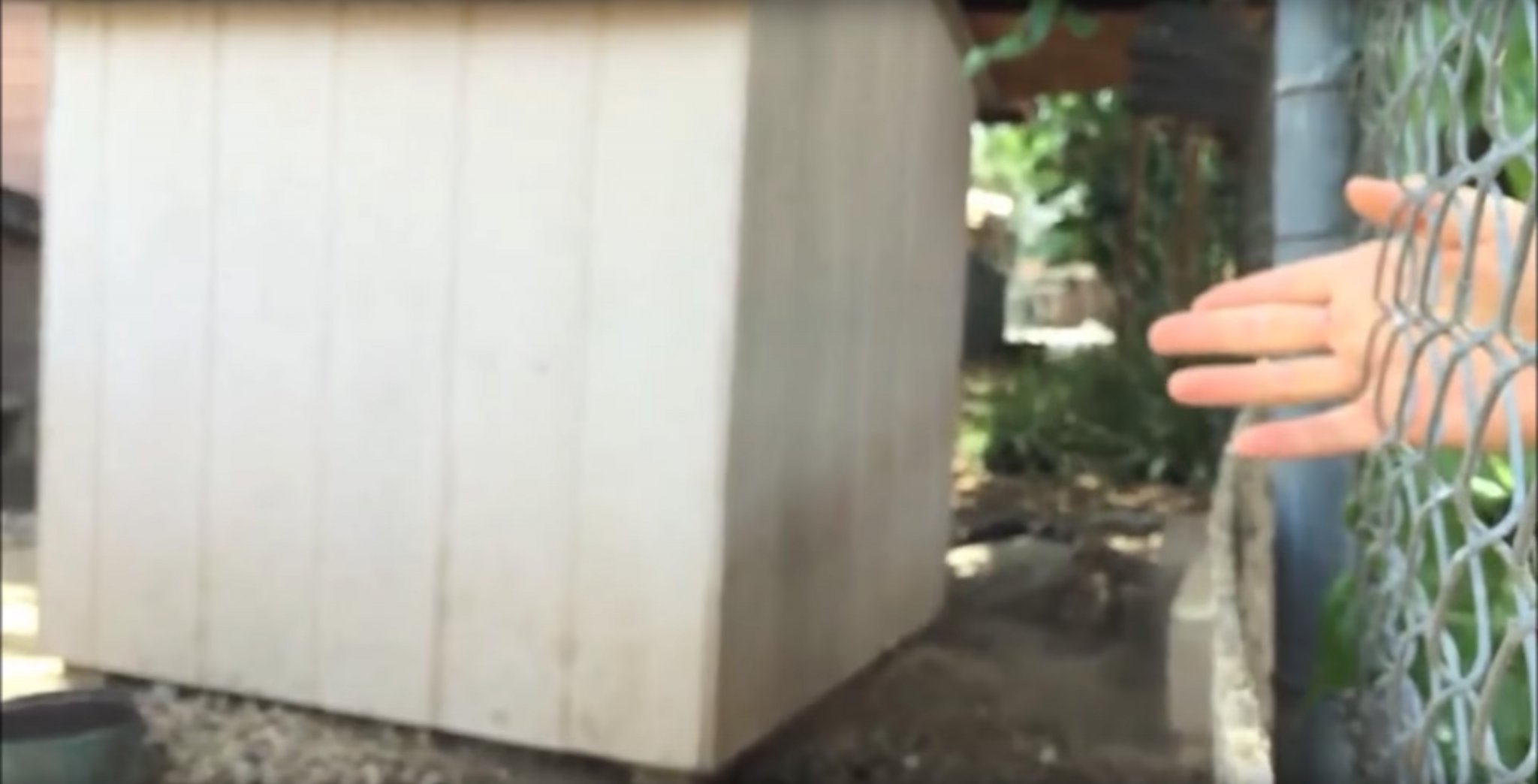 Rusty Was Chained Up For Almost 15 Years – See His Life Once He’s Rescued